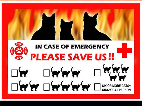 Crazy Cat Lady Emergency Window Cling | Doggy Style Gifts
