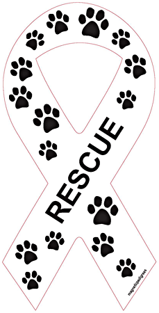 Ribbon Rescue with Paws Dog Car Magnet | Doggy Style Gifts