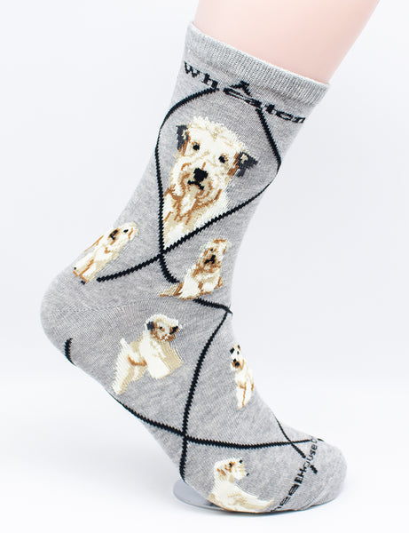 Soft Coated Wheaten Assorted Dog Breed Novelty Socks | Doggy Style Gifts